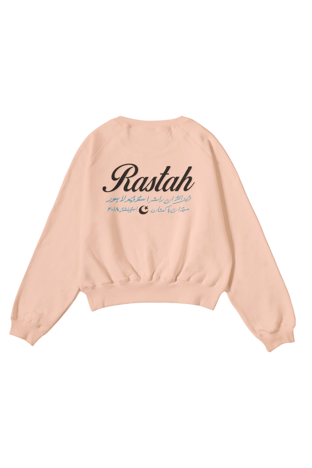 BEIGE MADE IN PAK SWEATSHIRT (V4) – Rastah